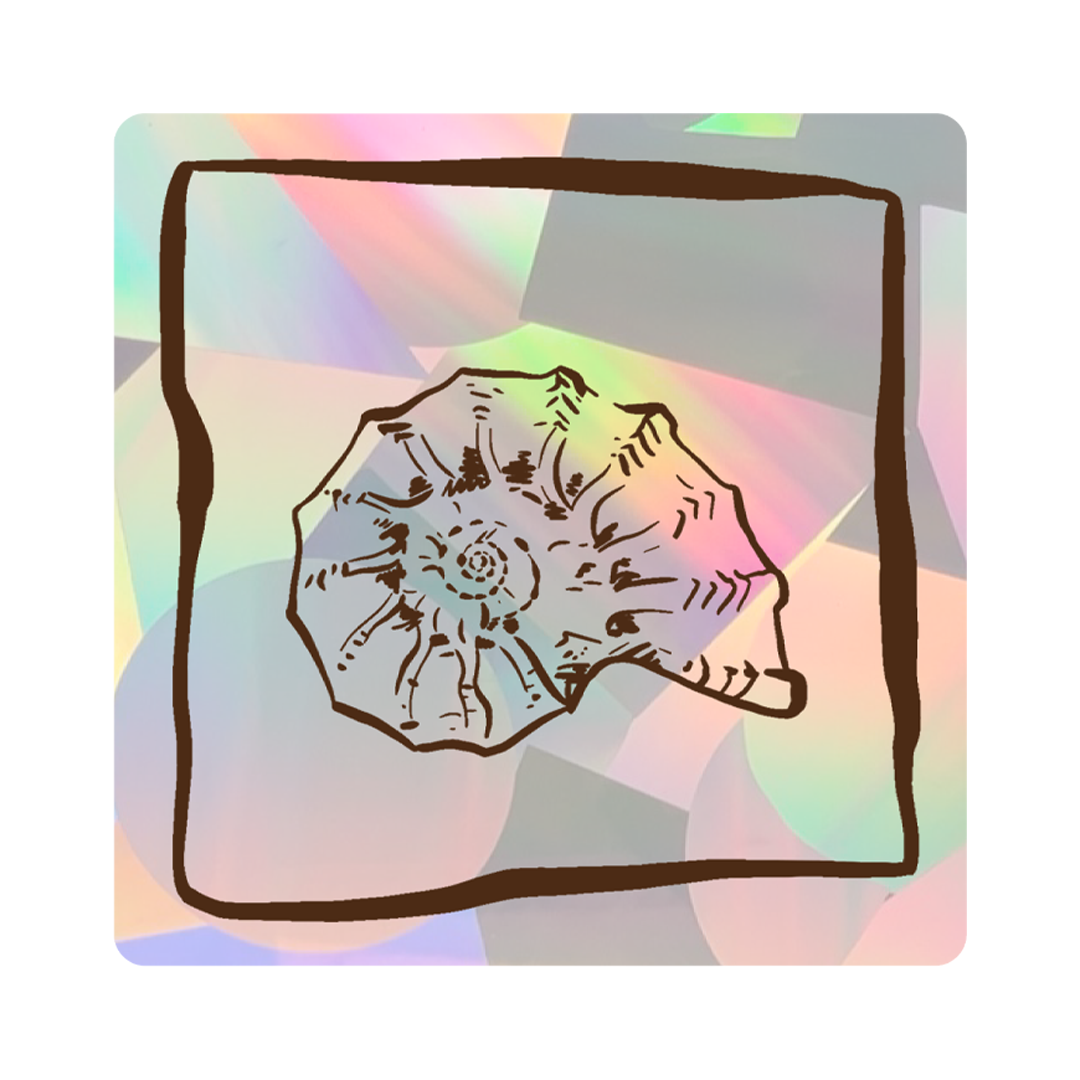 Nautilus Tile Sun Catcher Sticker – Rainbow Spaces